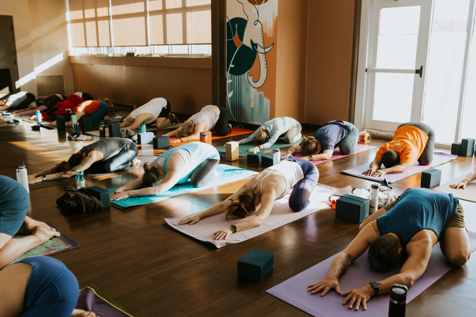 Home - Root to Rise Yoga Hot Yoga Denver Wellness